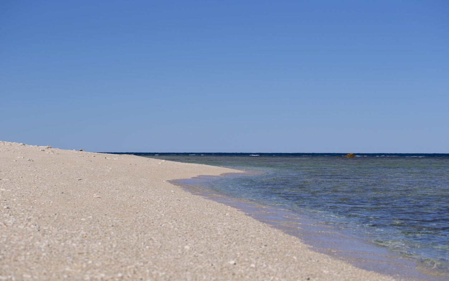 Round Island | Visit Fraser Coast