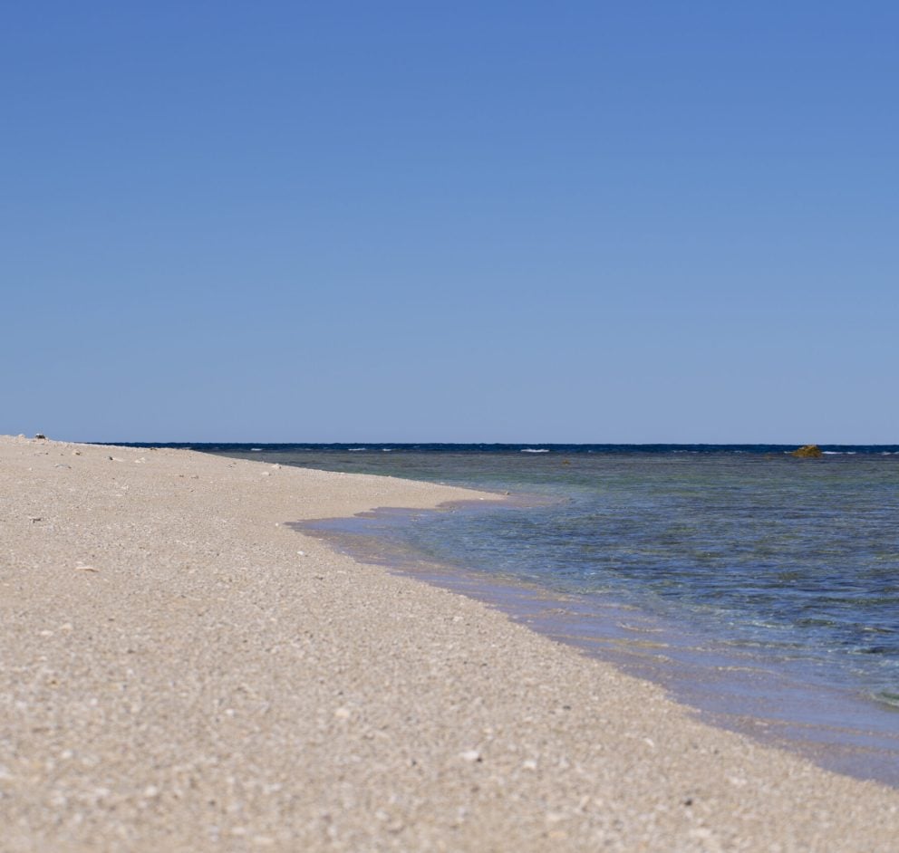 Round Island | Visit Fraser Coast