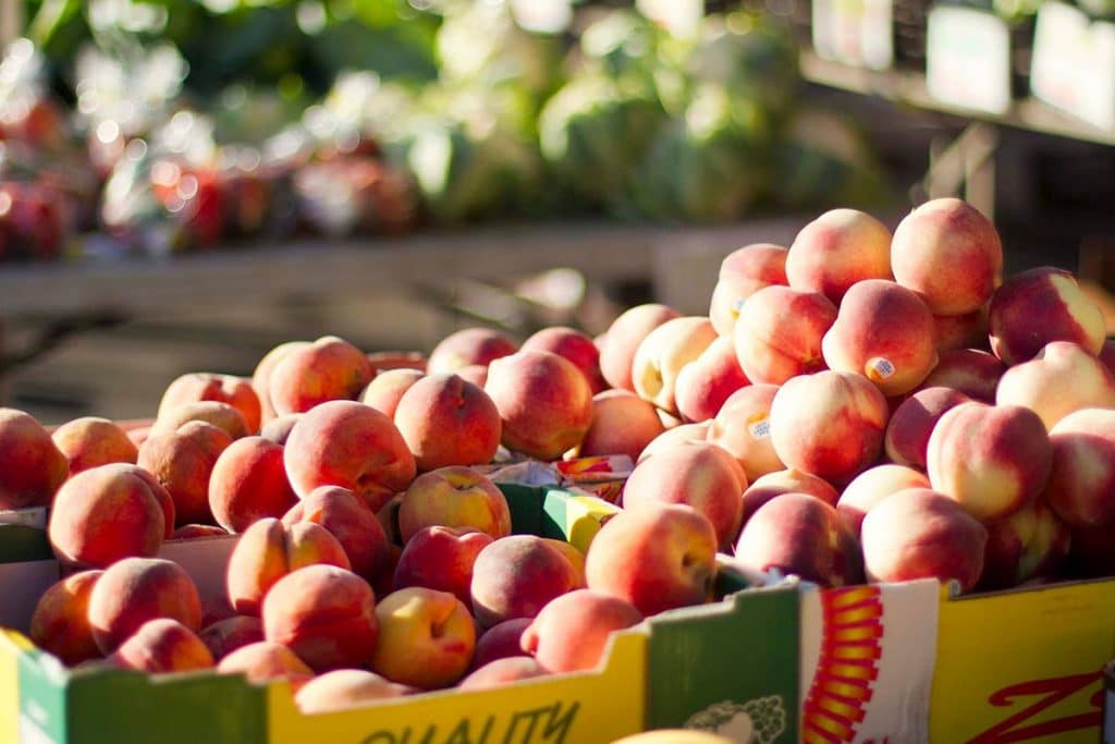 About The Burrum Coast | Visit Fraser Coast