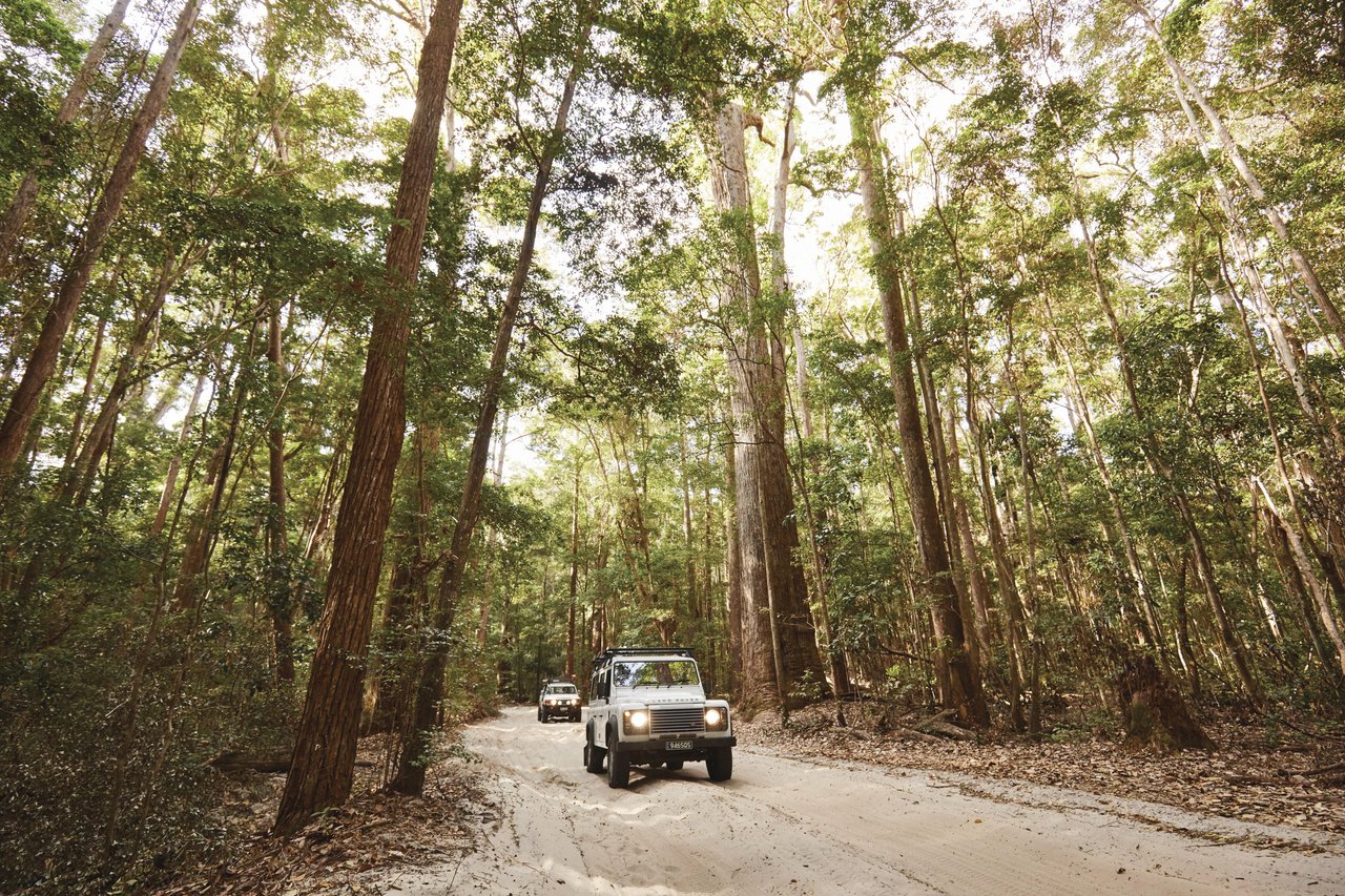 7 Unforgettable K'gari/Fraser Island Experiences | Visit Fraser Coast